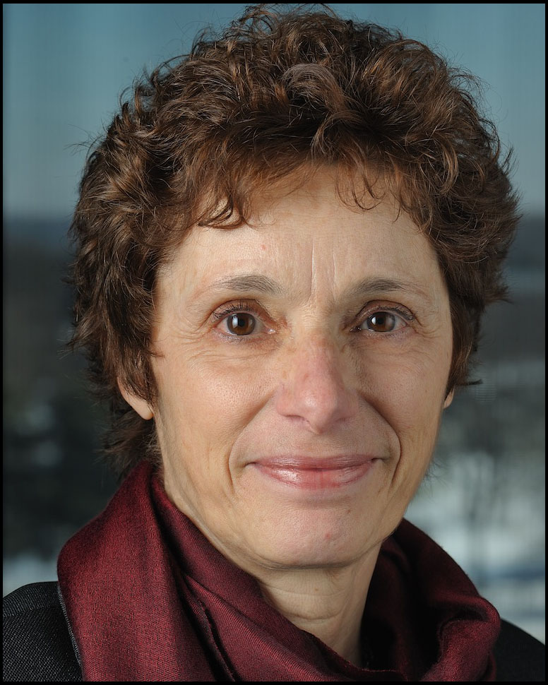 2024 Mary Ellen Avery Award Recipient – American Pediatric Society